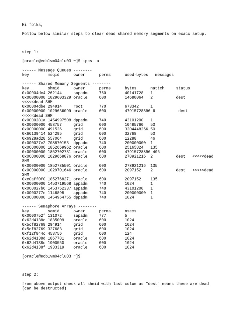 Clear Dead Shared Memory Segments On Exacc Setup | PDF | Computing ...