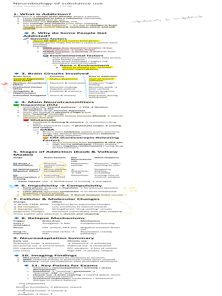 Understanding Addiction's Neurobiology | PDF | Reward System | Dopamine
