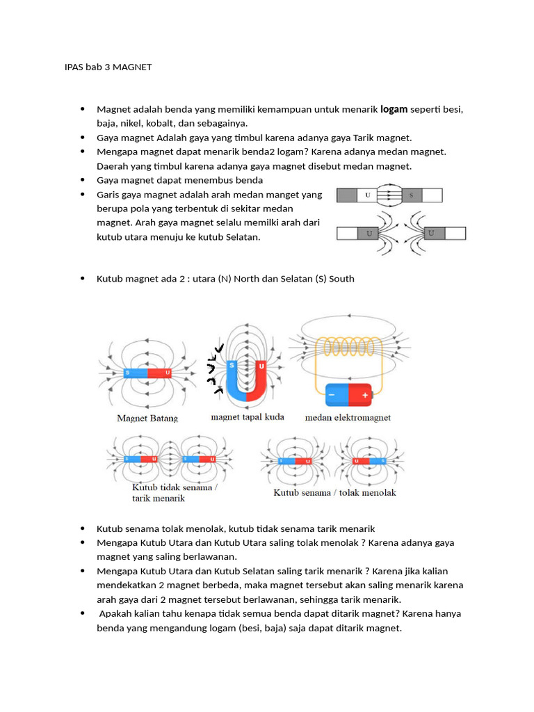 Ipas Bab 3 Magnet | PDF