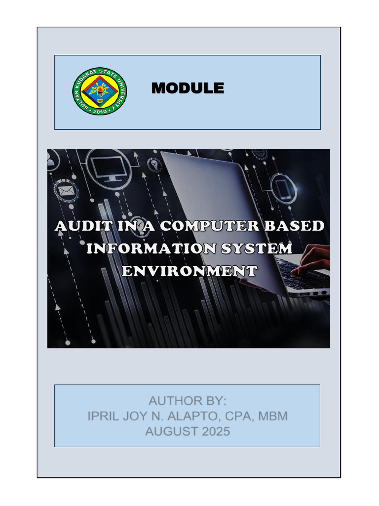 Auditing in Computer-Based Systems | PDF | Internal Control | Databases