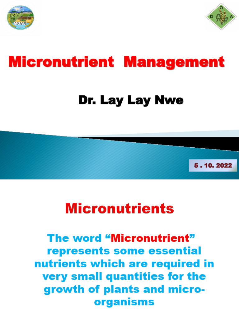 Dr. Lay Lay Nwe Micro Nutri | PDF | Micronutrient | Horticulture