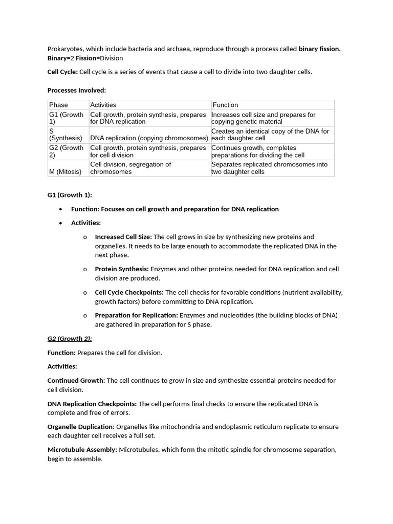 Cell Cycle Notes | PDF