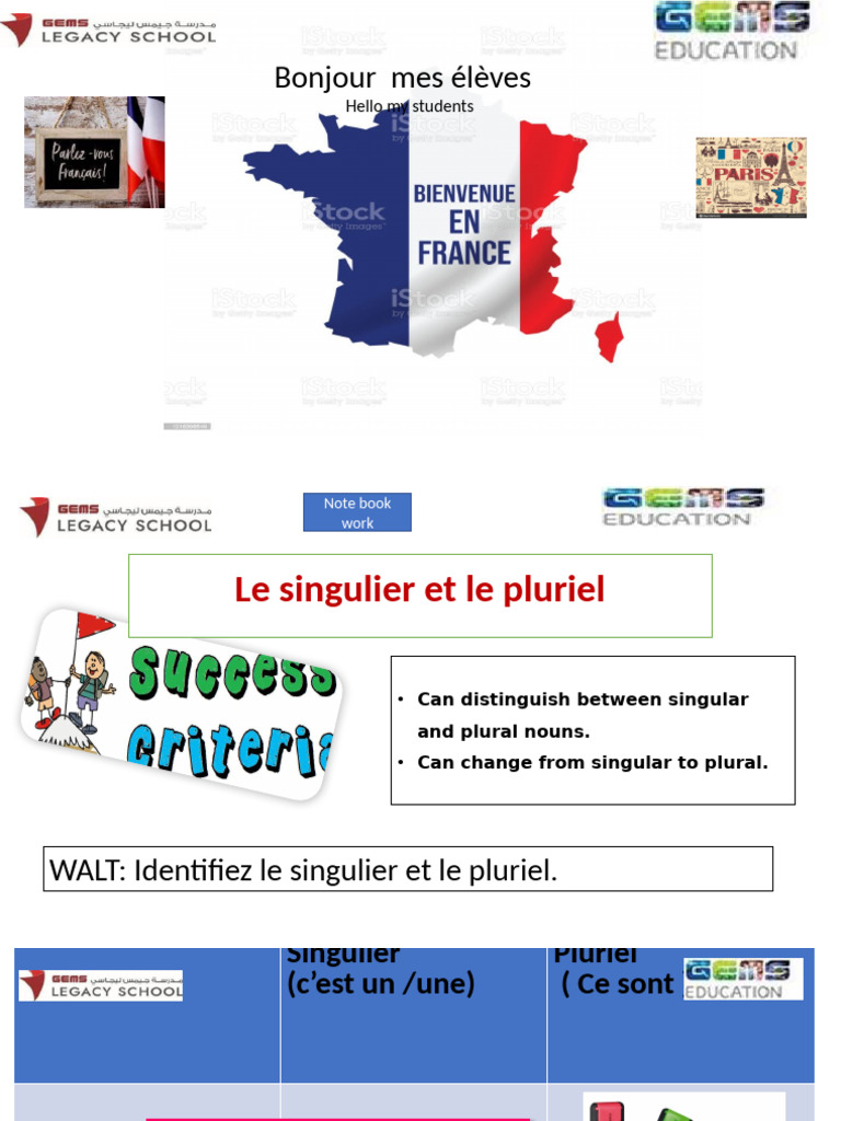 Singulier et Pluriel : Guide Pratique | PDF