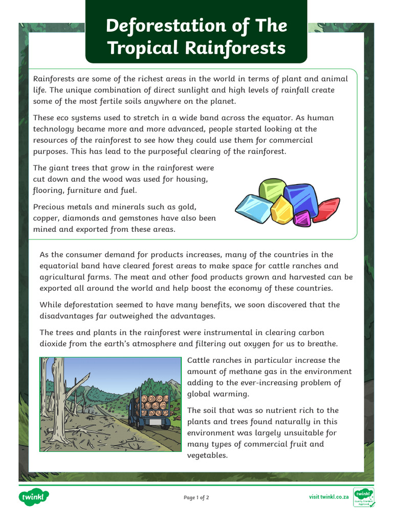 Deforestation in The Tropical Rainforests Case Study | PDF | Rainforest ...