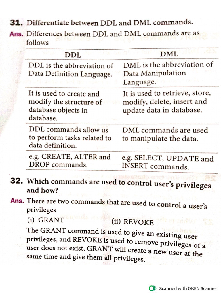 Class 12 (MySQL) | PDF