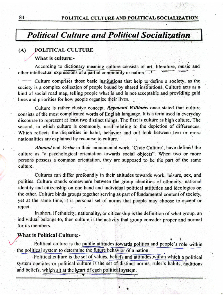 Political Culture and Political Socialization | PDF
