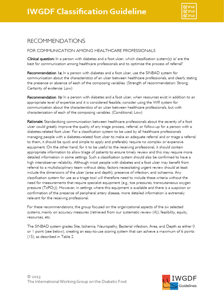 IWGDF 2023 03 Classification Guideline 3 | PDF | Diabetes | Amputation