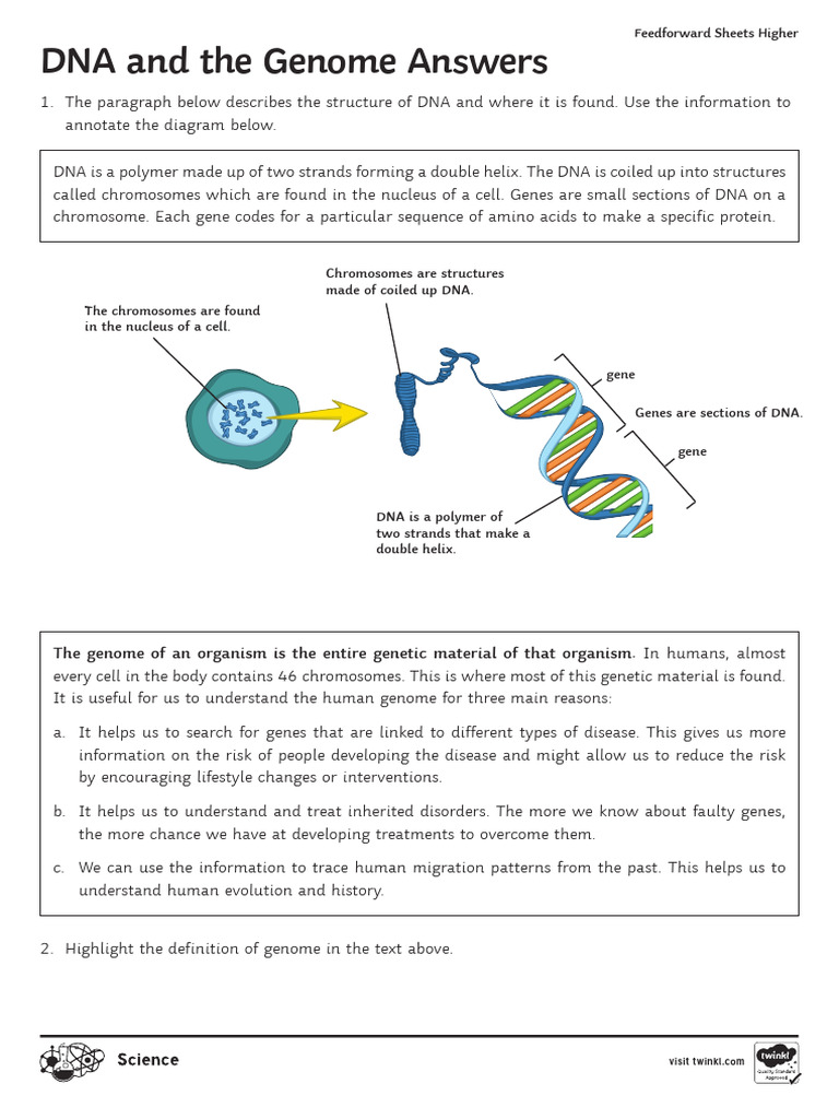AQA Inheritance, Variation and Evolution Higher Feedforward Sheets ...