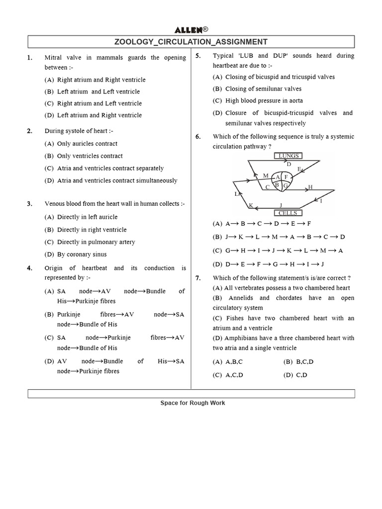 Human Heart and Circulatory System Quiz | PDF | Atrium (Heart) | Heart