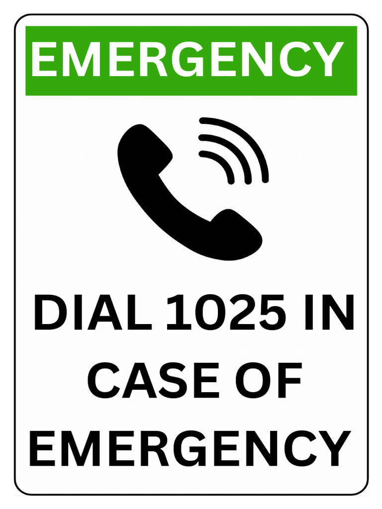 Emergency (1) .PDF - 20250917 - 163702 - 0000 | PDF