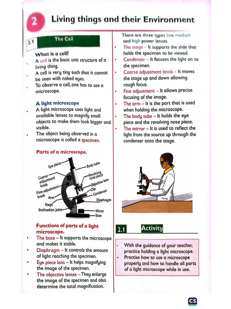 Grade 8 Living Things and Their Environment | PDF