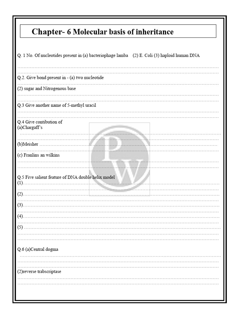Molecular Basis of Inheritance Overview | PDF | Biochemistry | Chemistry