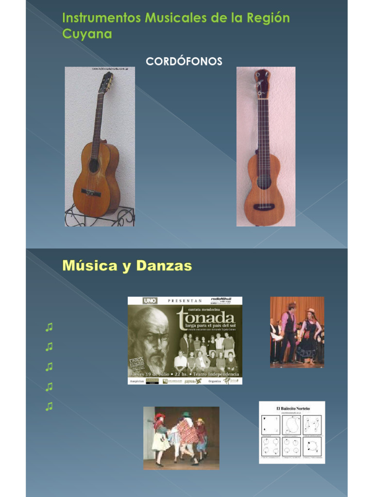 Instrumentos Musicales de Cuyo | PDF