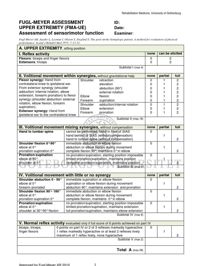 Fma Ue English | PDF | Anatomical Terms Of Motion | Elbow