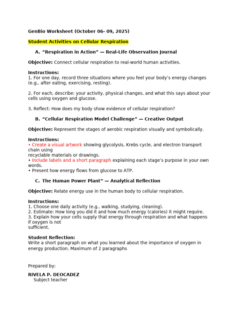 Cellular Respiration Student Activities Guide | PDF