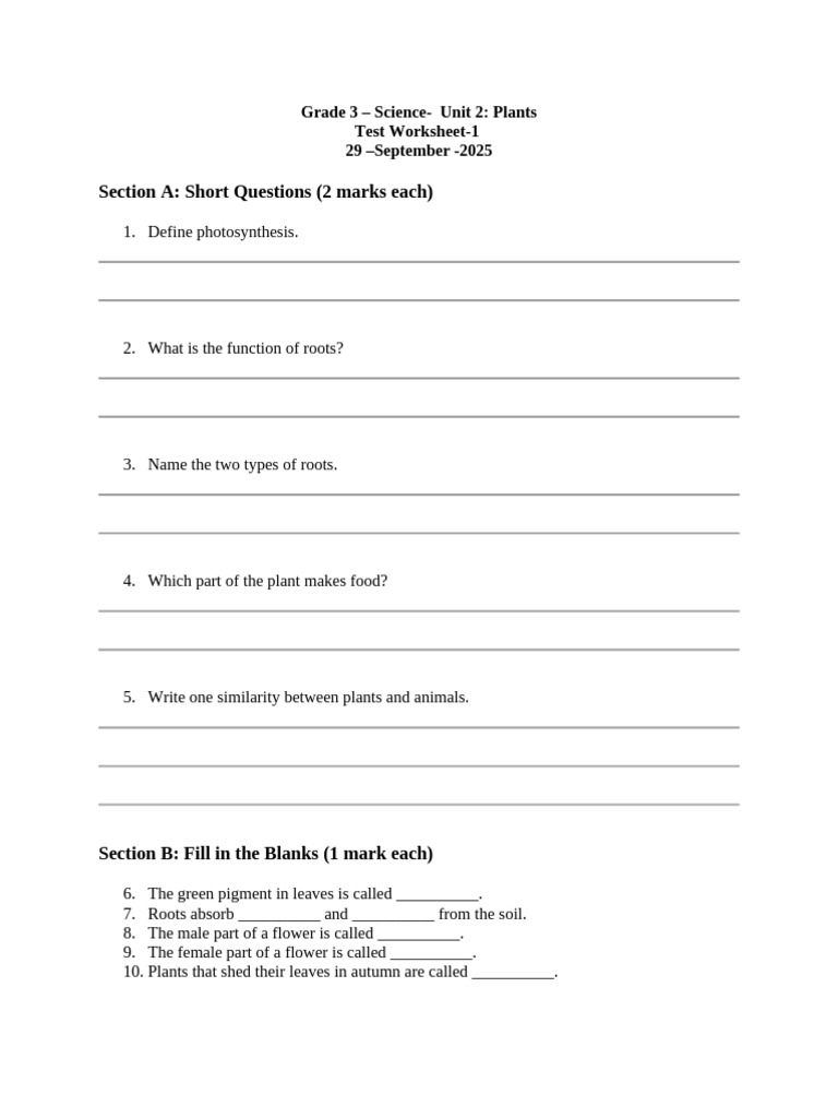 Grade 3 Science Plants Test Worksheet | PDF