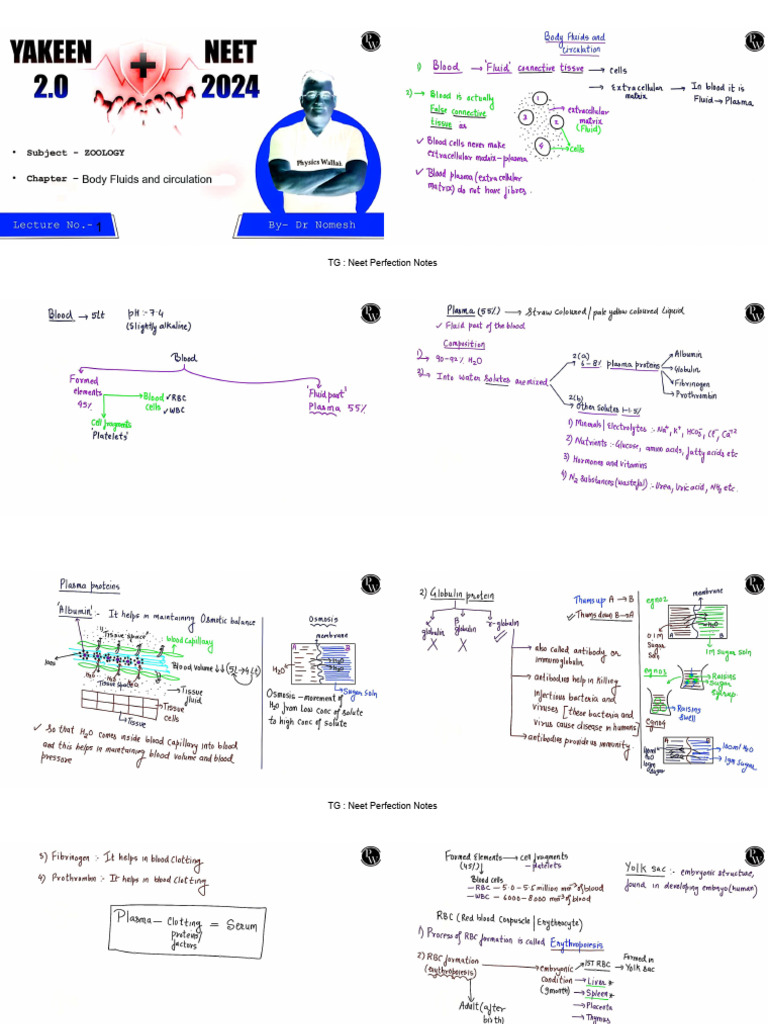 NEET Perfection Study Notes | PDF