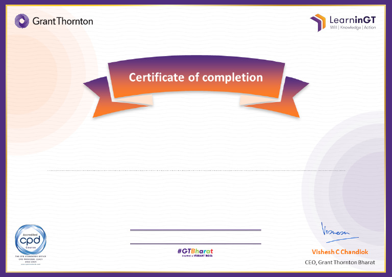 Financial Modelling Certificate - Amit Chauhan | PDF