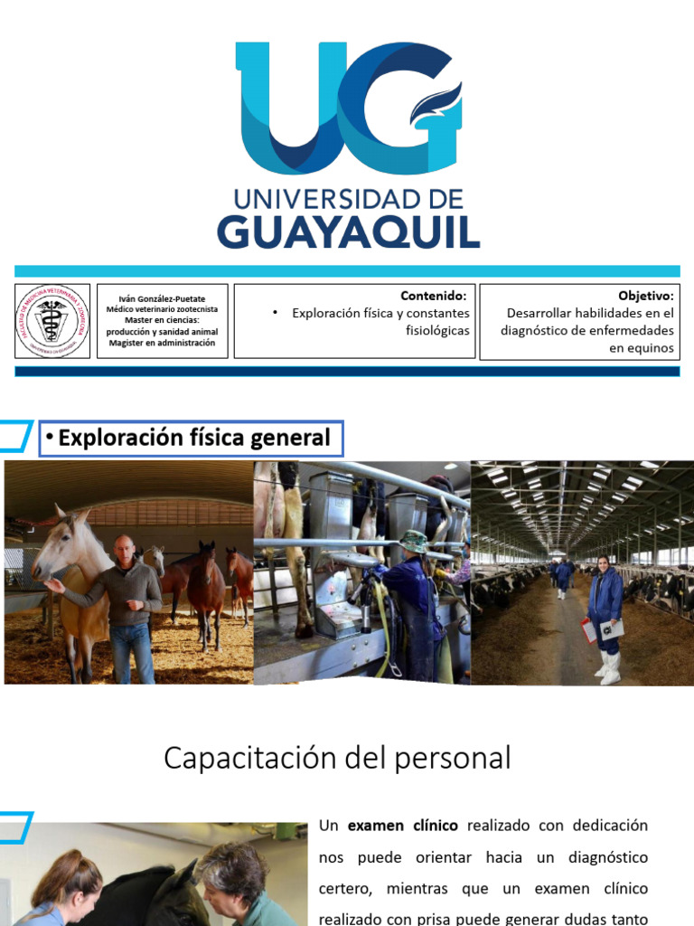 Equ 1 - Merged | PDF | Legumbres | Examen físico