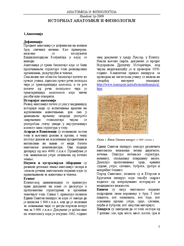 Anatomija I Fiziologija | PDF
