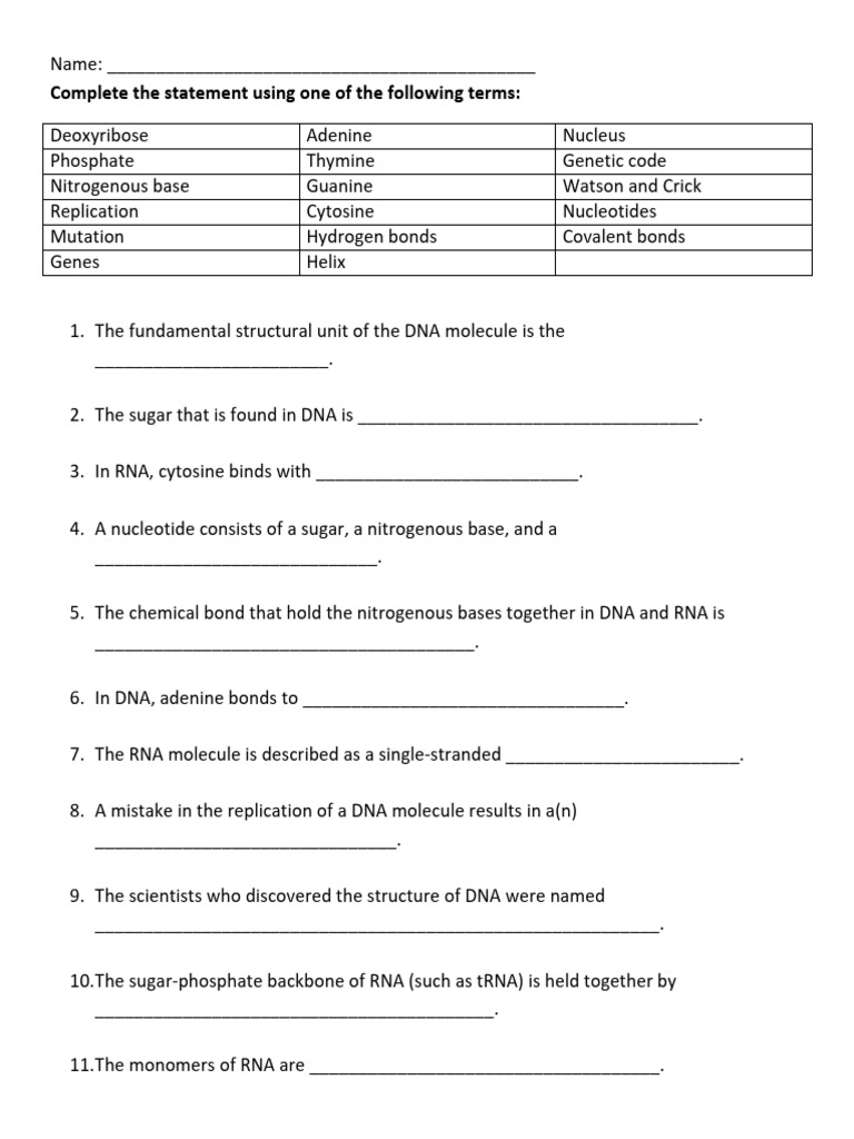 DNA and RNA Comparison Worksheet | PDF | Rna | Dna