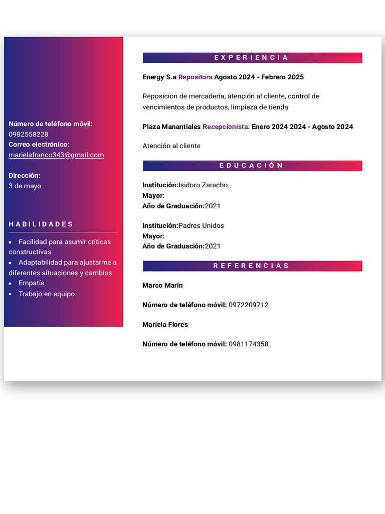Curriculum - Vitae - 2025 08 04 100619 | PDF
