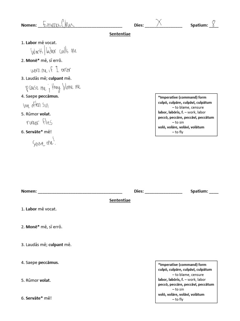 09 29 25 Verb Sentences PDF | PDF