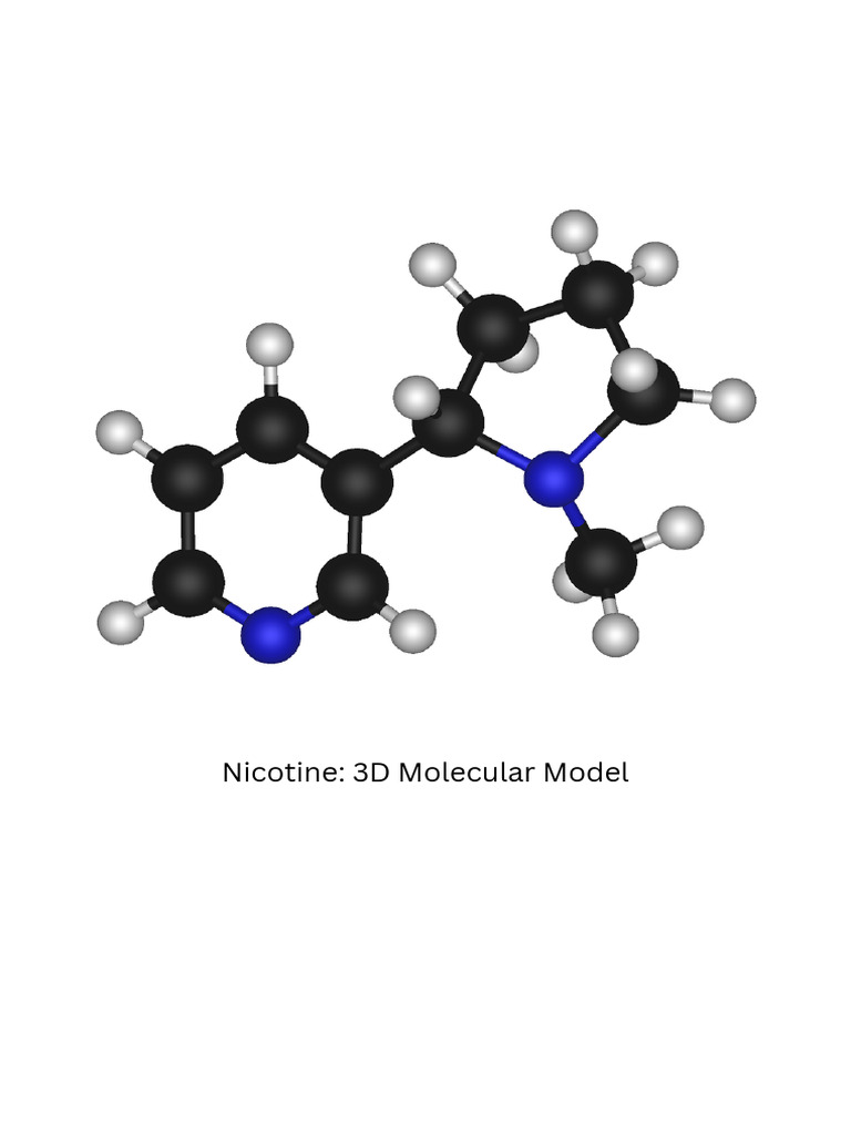 Nicotine: 3D Molecular Model | PDF