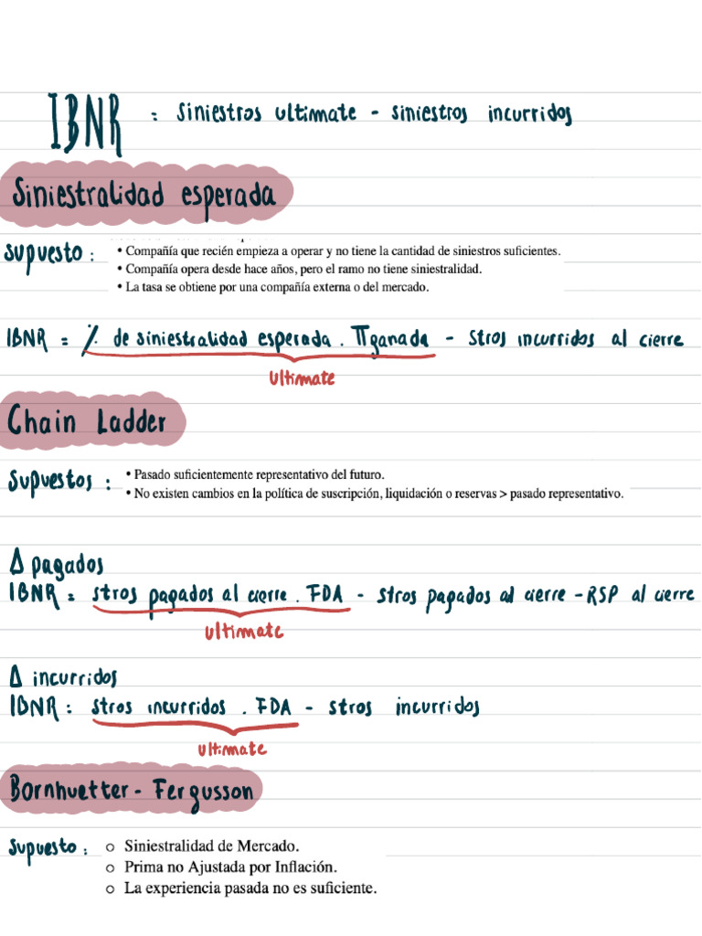 IBNR en Seguros: Métodos y Cálculos | PDF