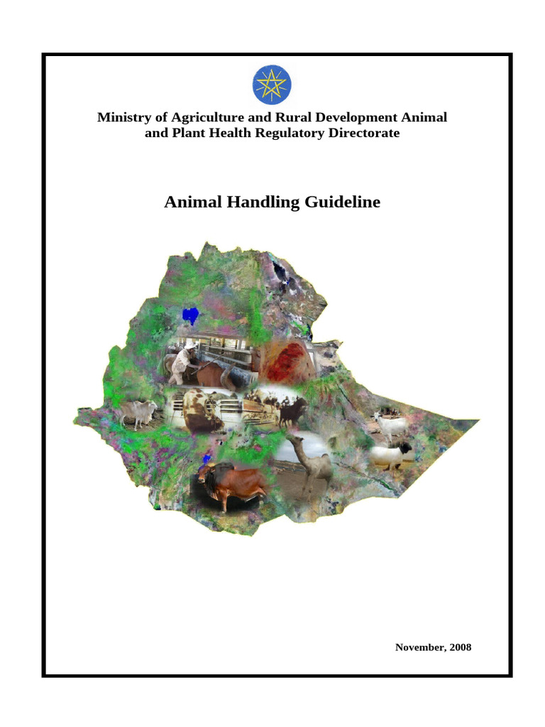 16 Animal Handling Guidelines | PDF | Animal Slaughter | Meat