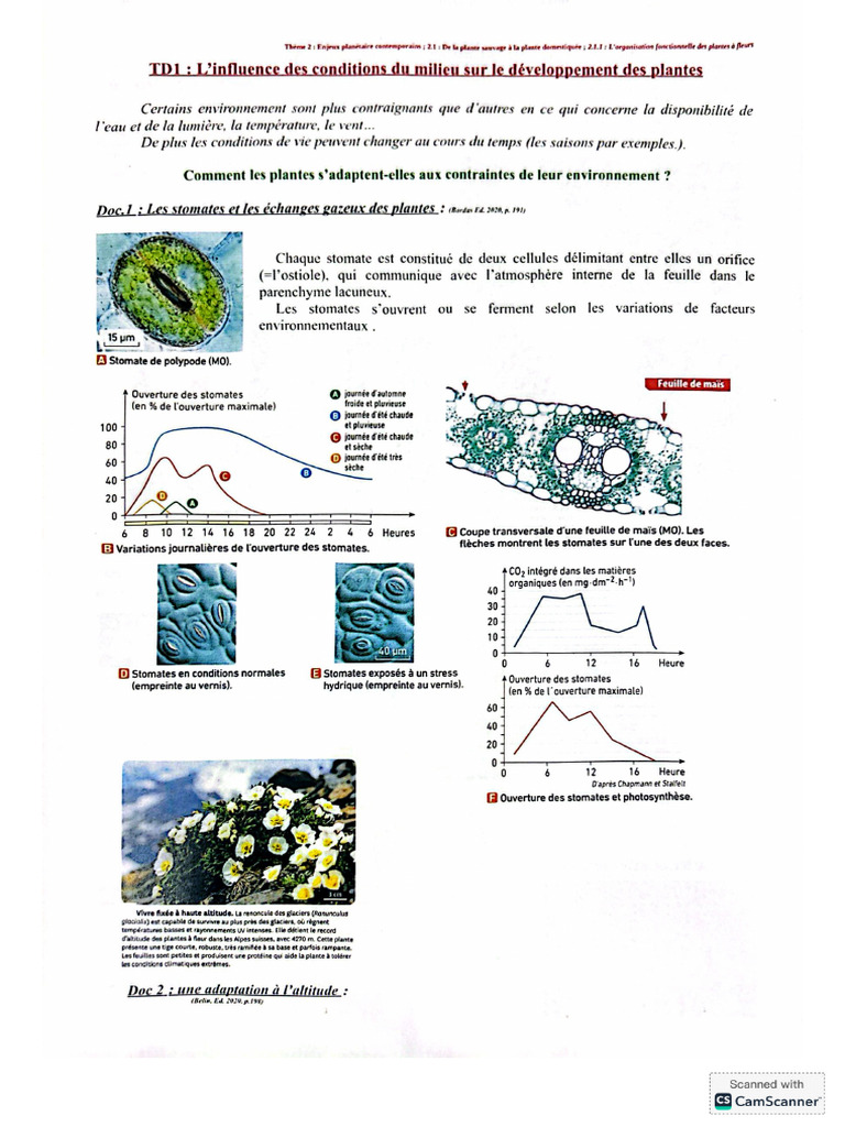SVT td1 | PDF