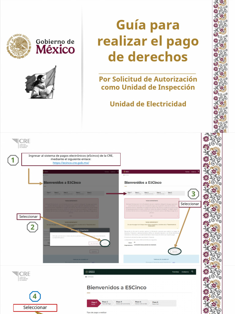 Pago de Derechos CRE: Guía e5cinco | PDF