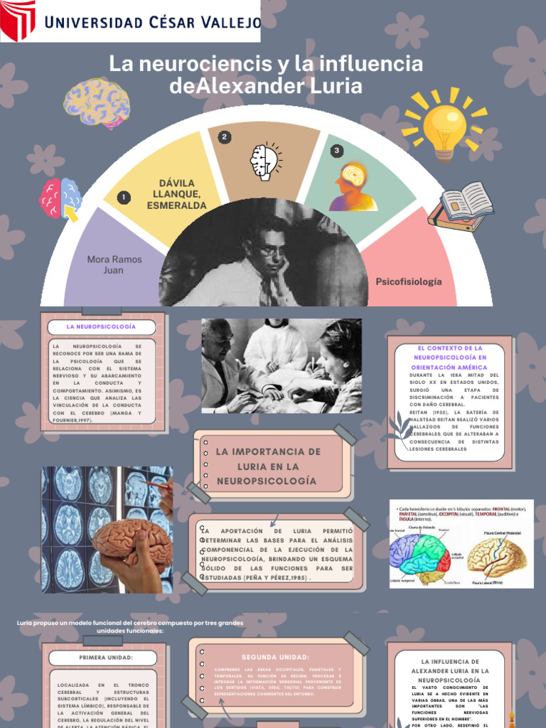 Luria y su impacto en neuropsicología | PDF | Neuropsicología | Cerebro