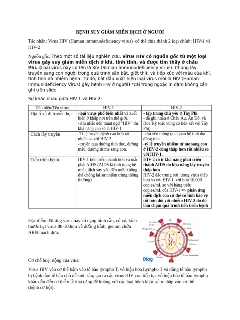 Bệnh Suy Giảm Miễn Dịch ở Người | PDF