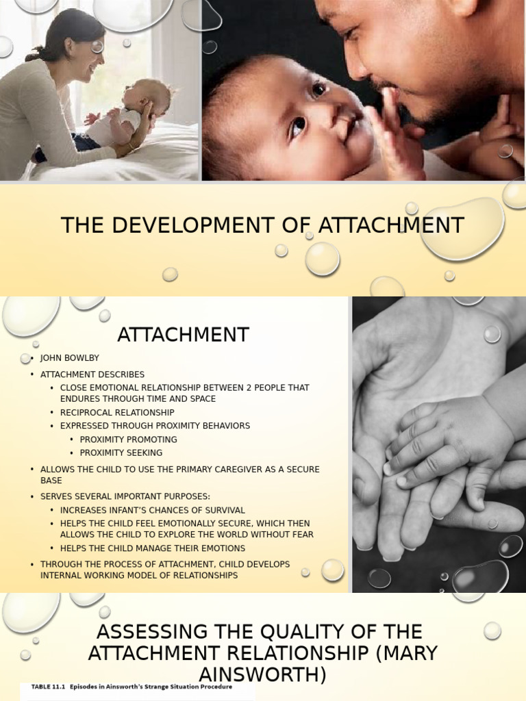 Understanding Attachment Development | PDF | Attachment Theory | Family