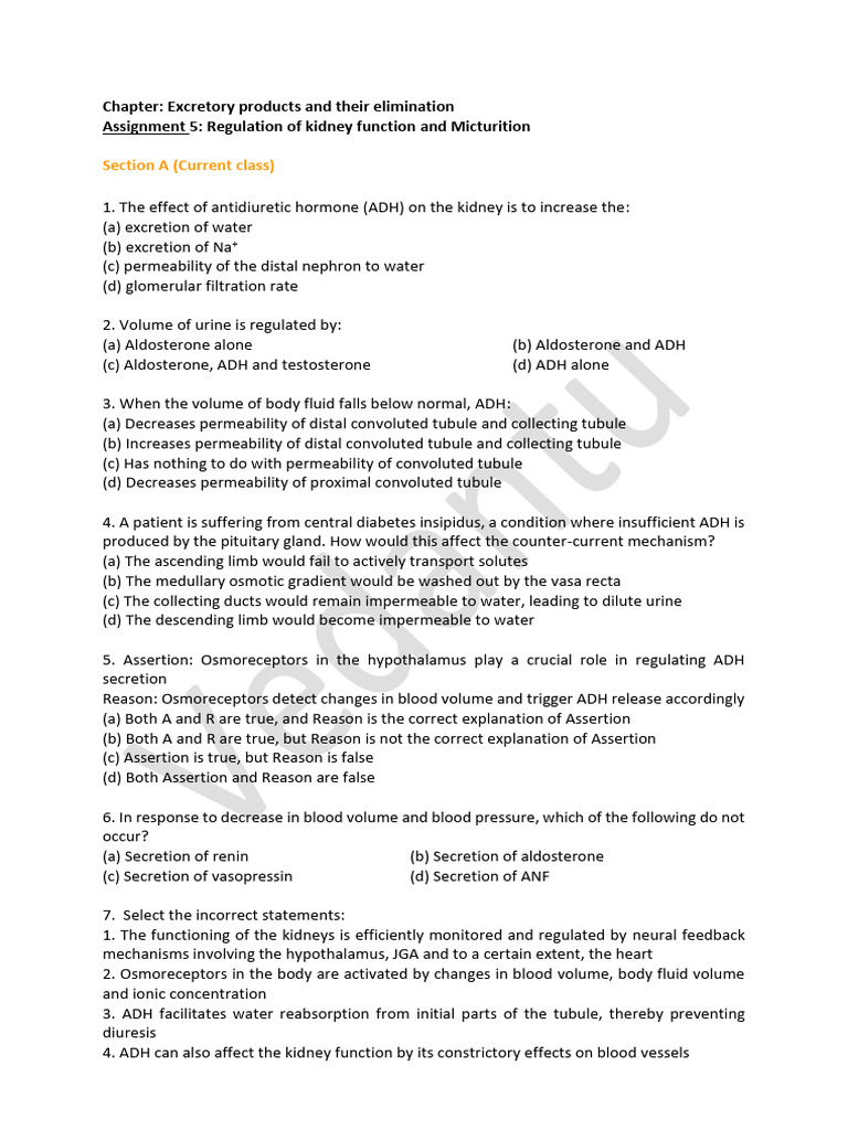 Kidney Function Regulation and ADH Effects | PDF | Angiotensin | Kidney