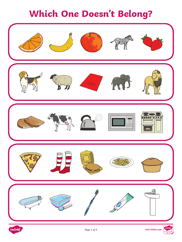 T S 857 Which One Doesnt Belong Activity Ver 1 | PDF