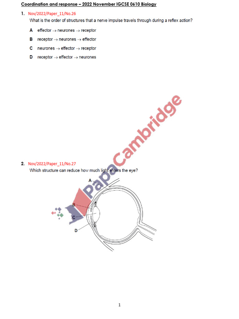 Biology Coordination and Response Struc. and MCQ | PDF