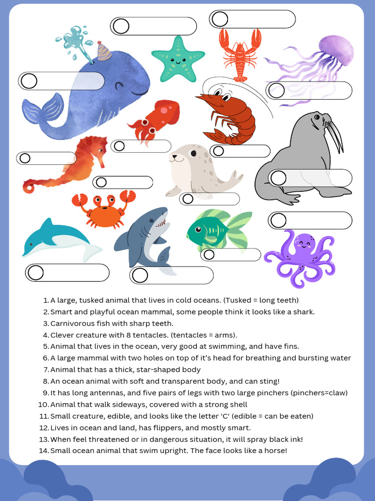 Ocean Animals: Comparisons & Superlatives | PDF
