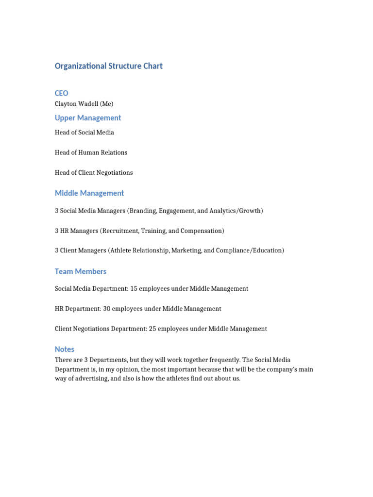 Blank Organizational Structure Template | PDF