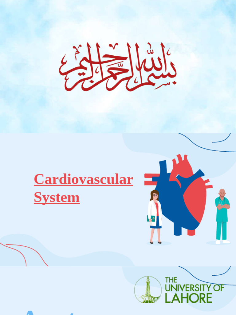 Cardiovascular System | PDF | Heart | Artery