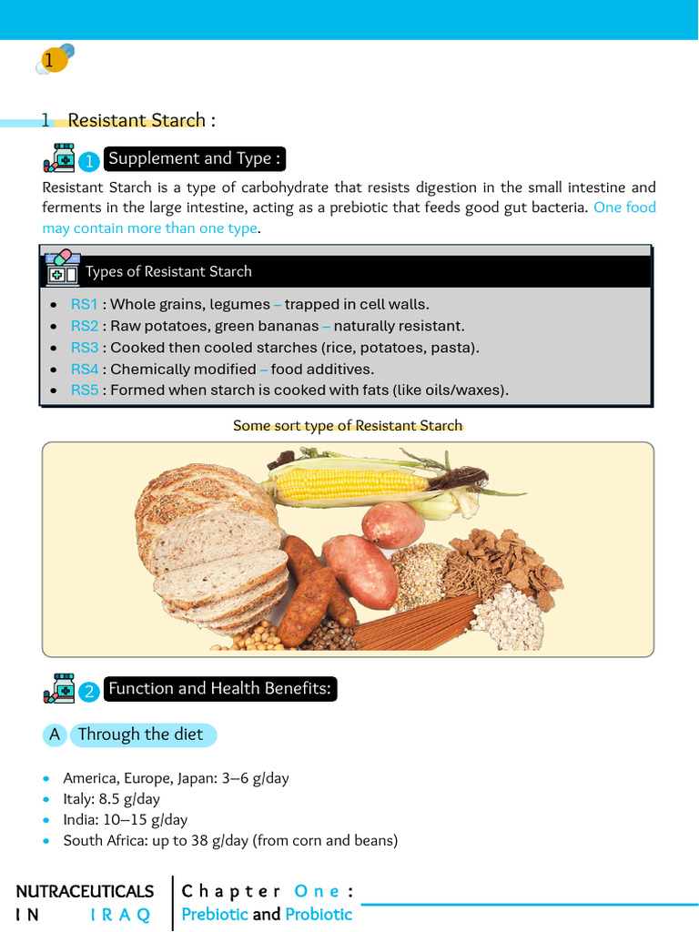 Resistant Starch | PDF | Nutrition | Diet & Nutrition