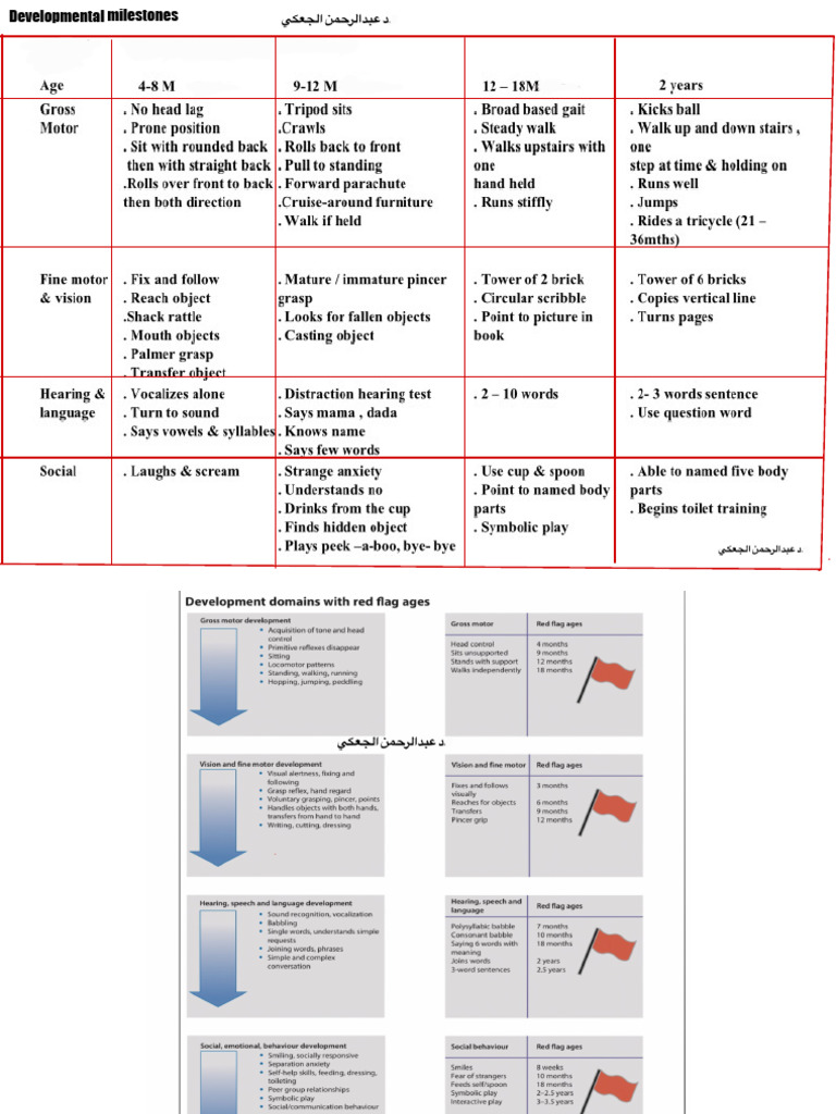 Developmental Assessment - Red Flags | PDF