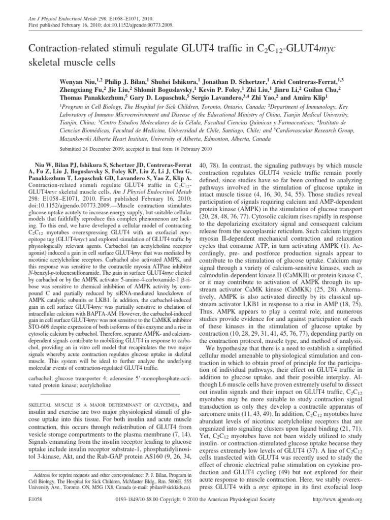 Niu Et Al 2010 Contraction Related Stimuli Regulate Glut4 Traffic in ...