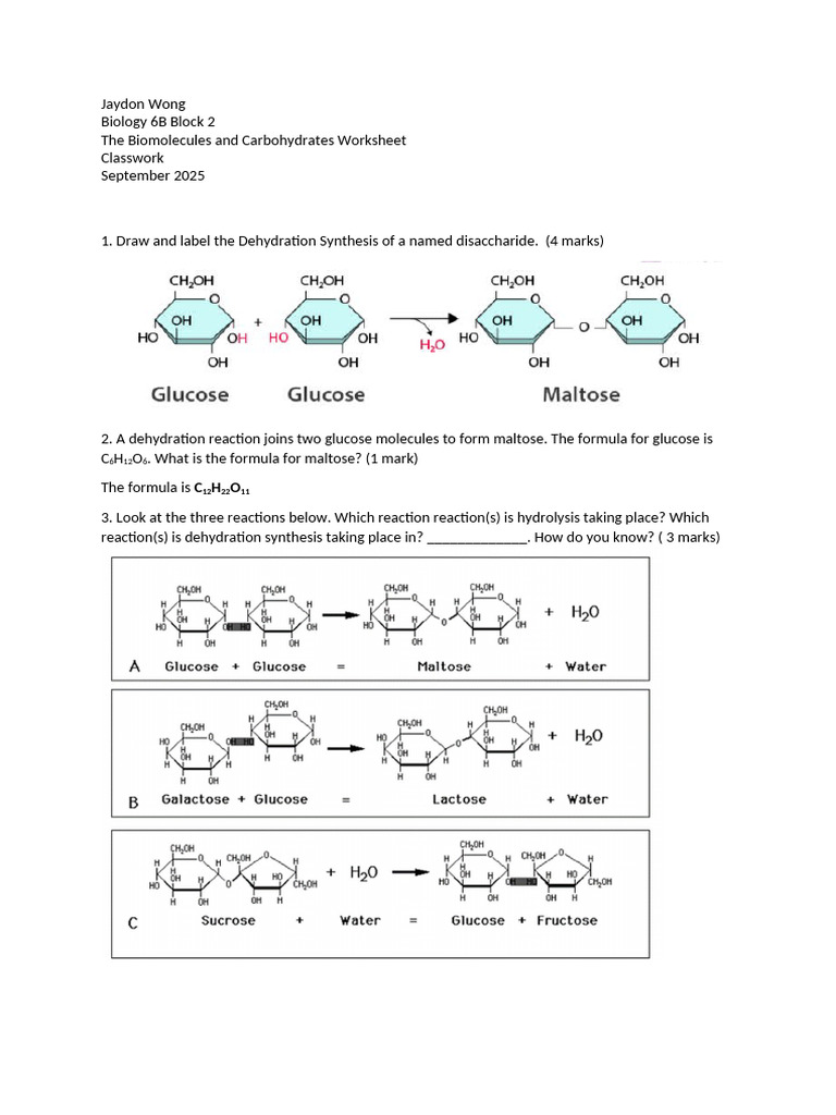 JAYDON WONG - 6B Biomolecules Worksheet | PDF | Fructose | Glucose