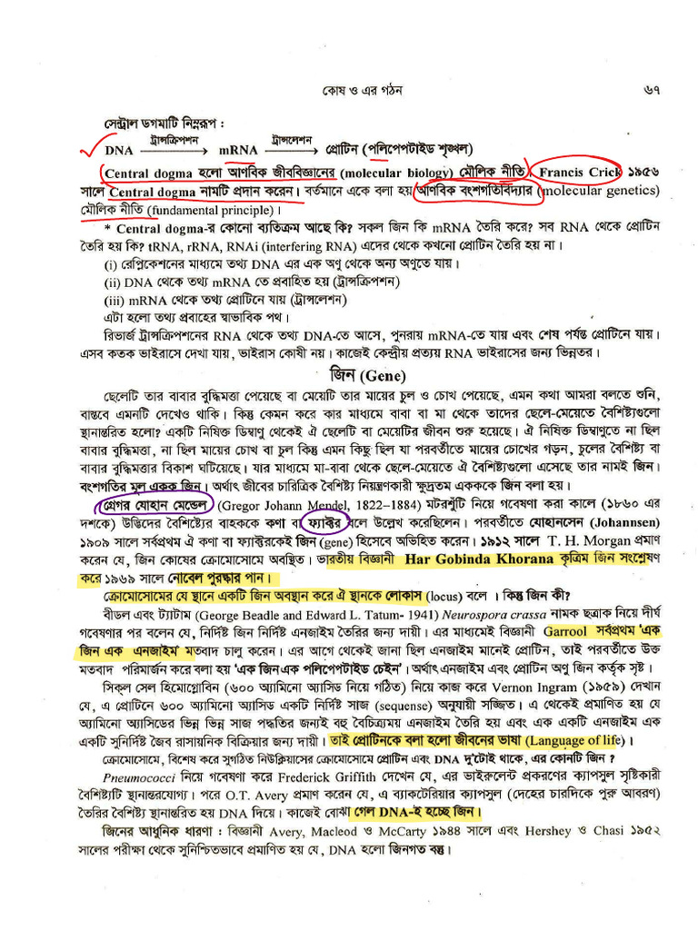 Dagano Boi Cell and Struccture Class 20 | PDF