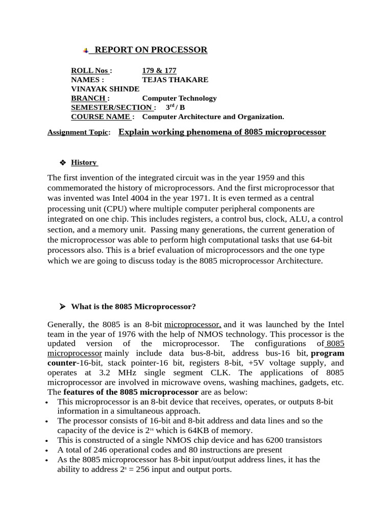 179 - CAO Processor Report | PDF | Central Processing Unit | Input/Output