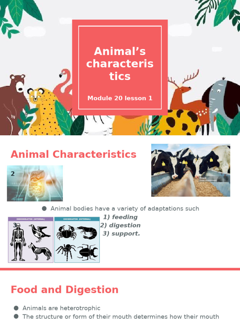 Understanding Animal Characteristics and Adaptations | PDF ...