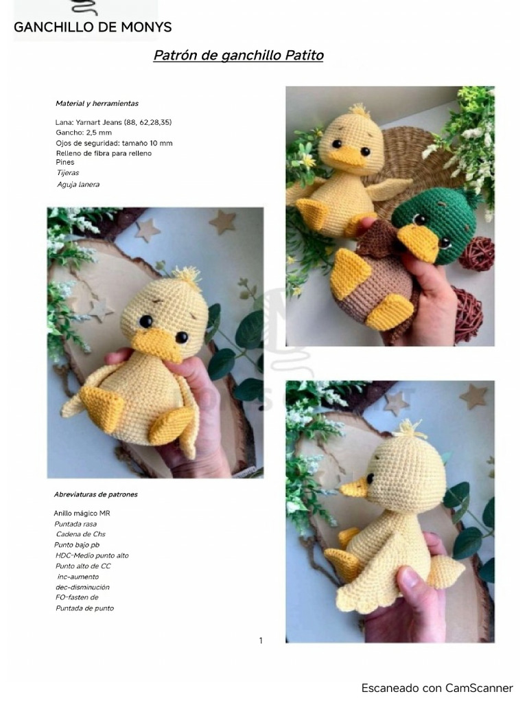 Pollito y Pato Mallard | PDF