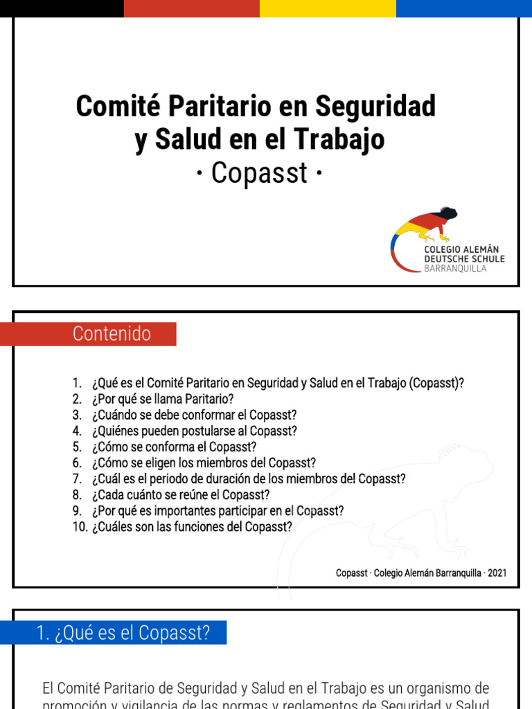 Guía del Comité Paritario de Salud Laboral | PDF | Seguridad y salud ...